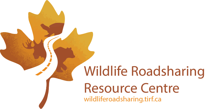 Wildlife Roadsharing Resource Centre - Traffic Injury Research Foundation