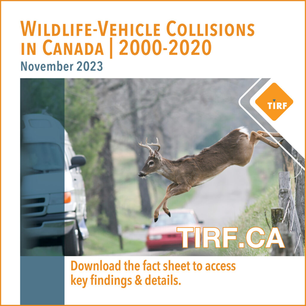 Trends in wildlife-vehicle collisions can guide prevention strategies ...