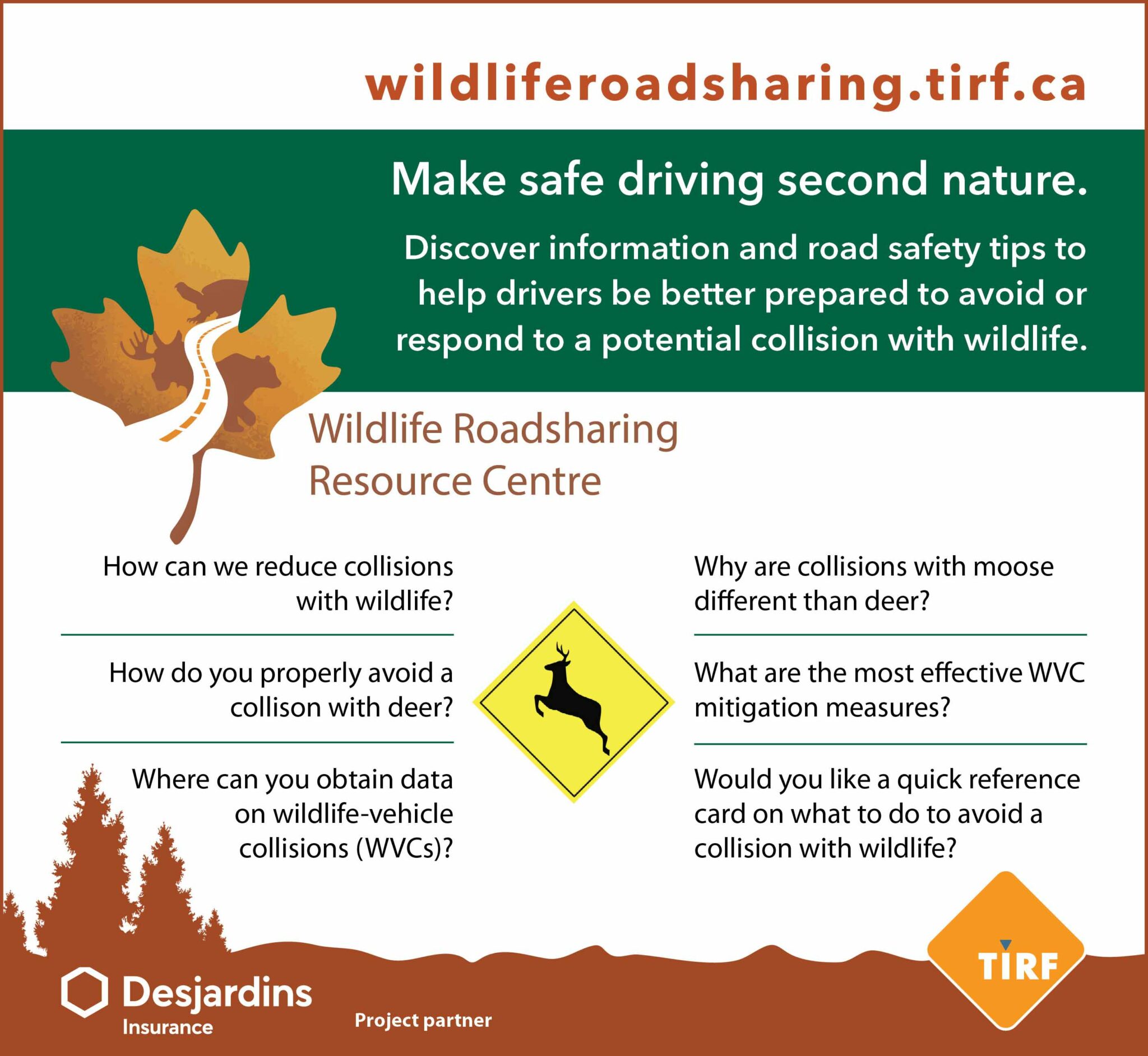 Safeguarding the Road: Tips to Avoid Wildlife Collisions in Fall ...